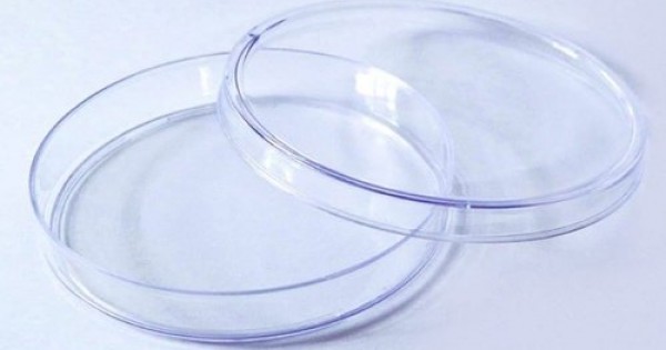 PETRI DISH 90*15MM, ONE ROOM, STERILE: Chem On Singapore